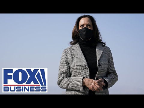 Seems like Harris is ‘dodging the real issue’: Border Patrol Union exec on immigration