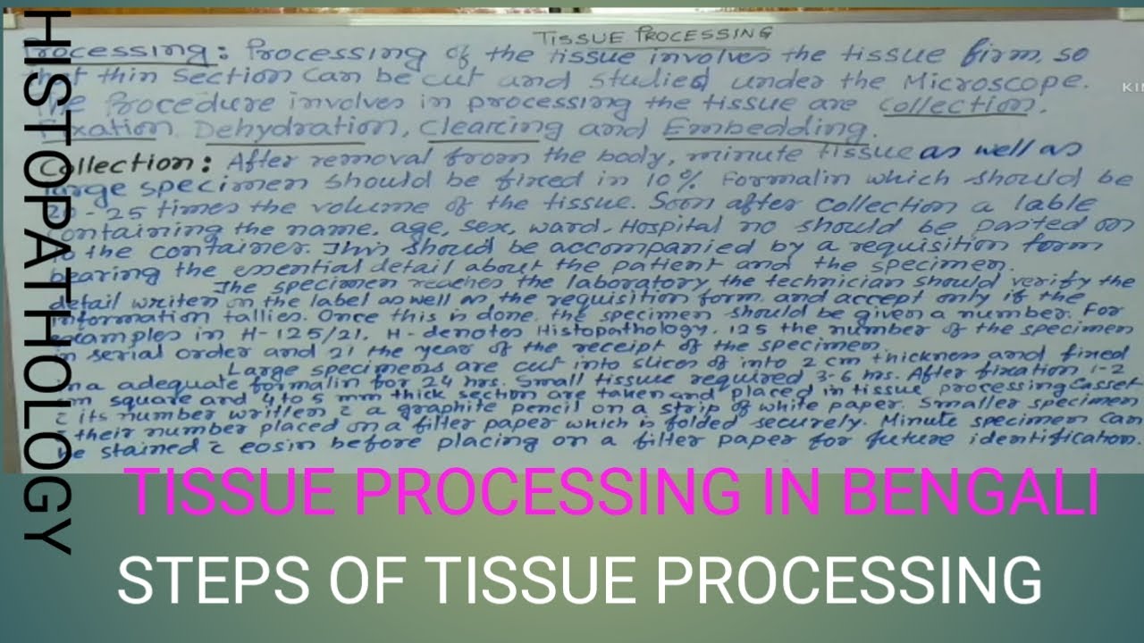 STEPS OF TISSUE PROCESSING ||  TISSUE PROCESSING IN BENGALI || HISTOPATHOLOGY