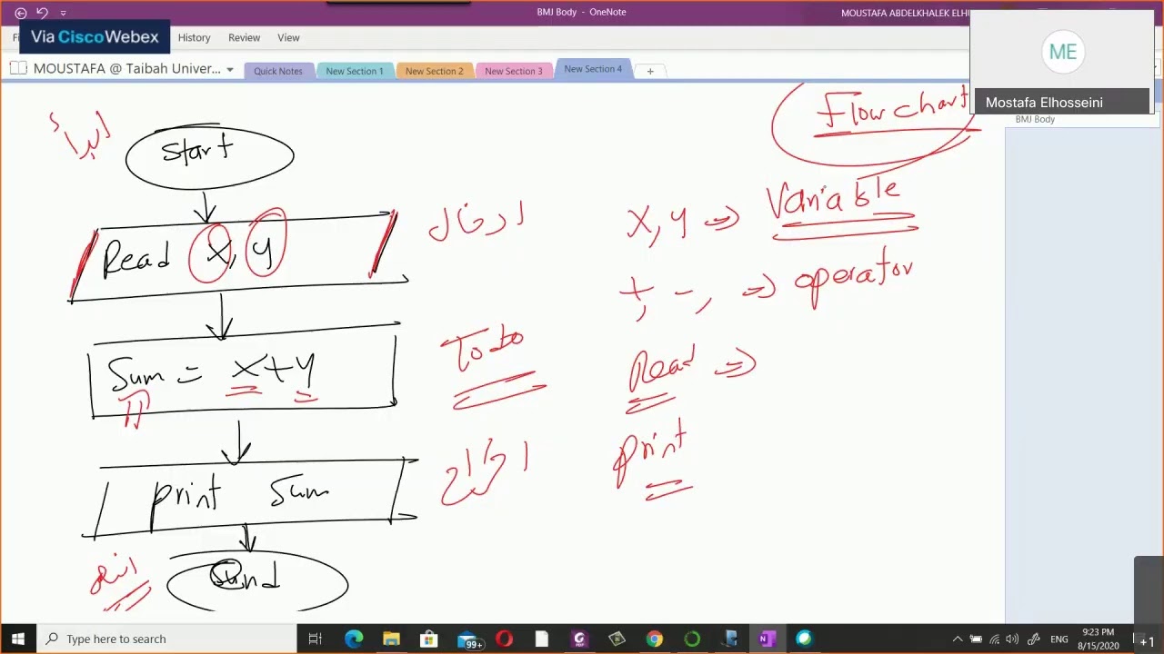 Programming Essentials in Python Lecture 1