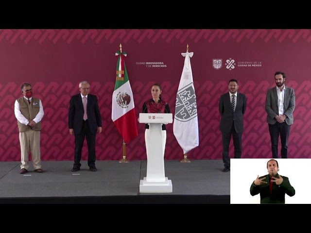 ¿Qué sabemos del ahuehuete? El árbol que llegará a la Glorieta de la Palma
