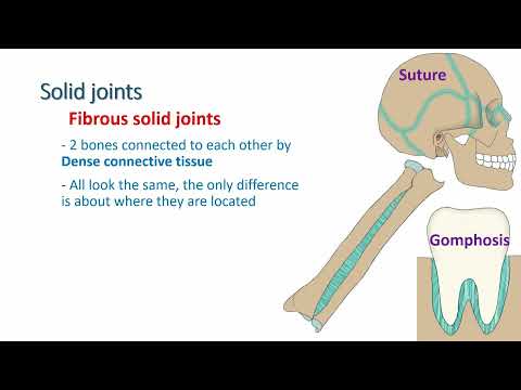 Fibrous joints