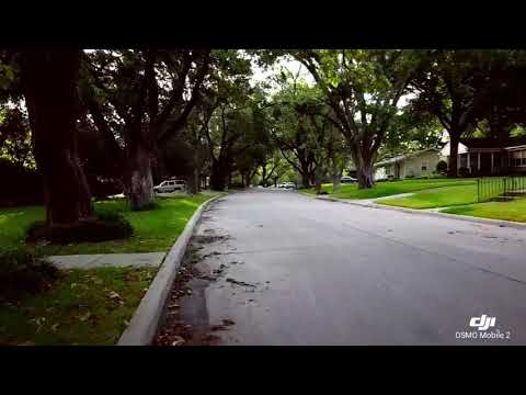 Arbor oaks. Arlington texas. University of Texas at Arlington