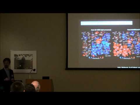 Modeling and Decoding the Humain Brain