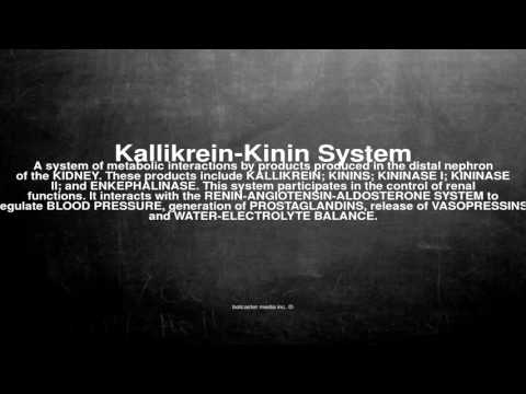 Medical vocabulary: What does Kallikrein-Kinin System mean