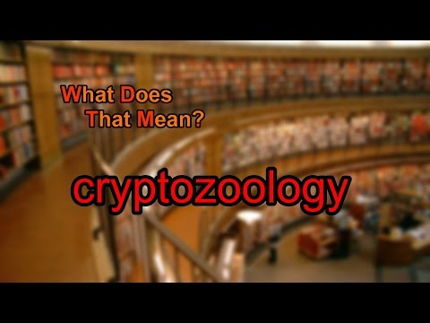 What does cryptozoology mean?