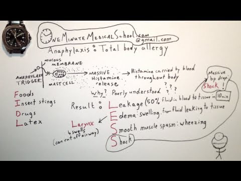 Anaphylaxis: Total Body Allergic Reaction - One Minute Medical School