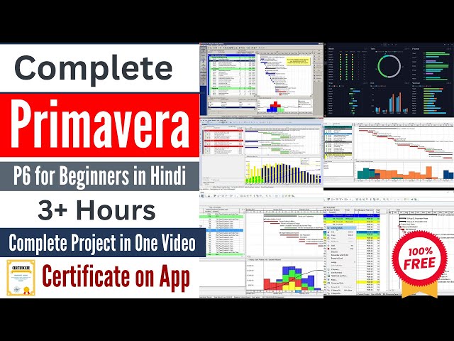 A Comprehensive Guide to Primavera P6 for Beginners | Galaxy.ai
