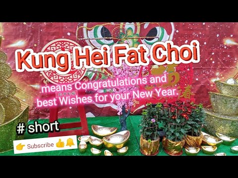 Kung Hei Fat Choi means Congratulations and best wishes for your New Year 💞@mildredsuasola1003
