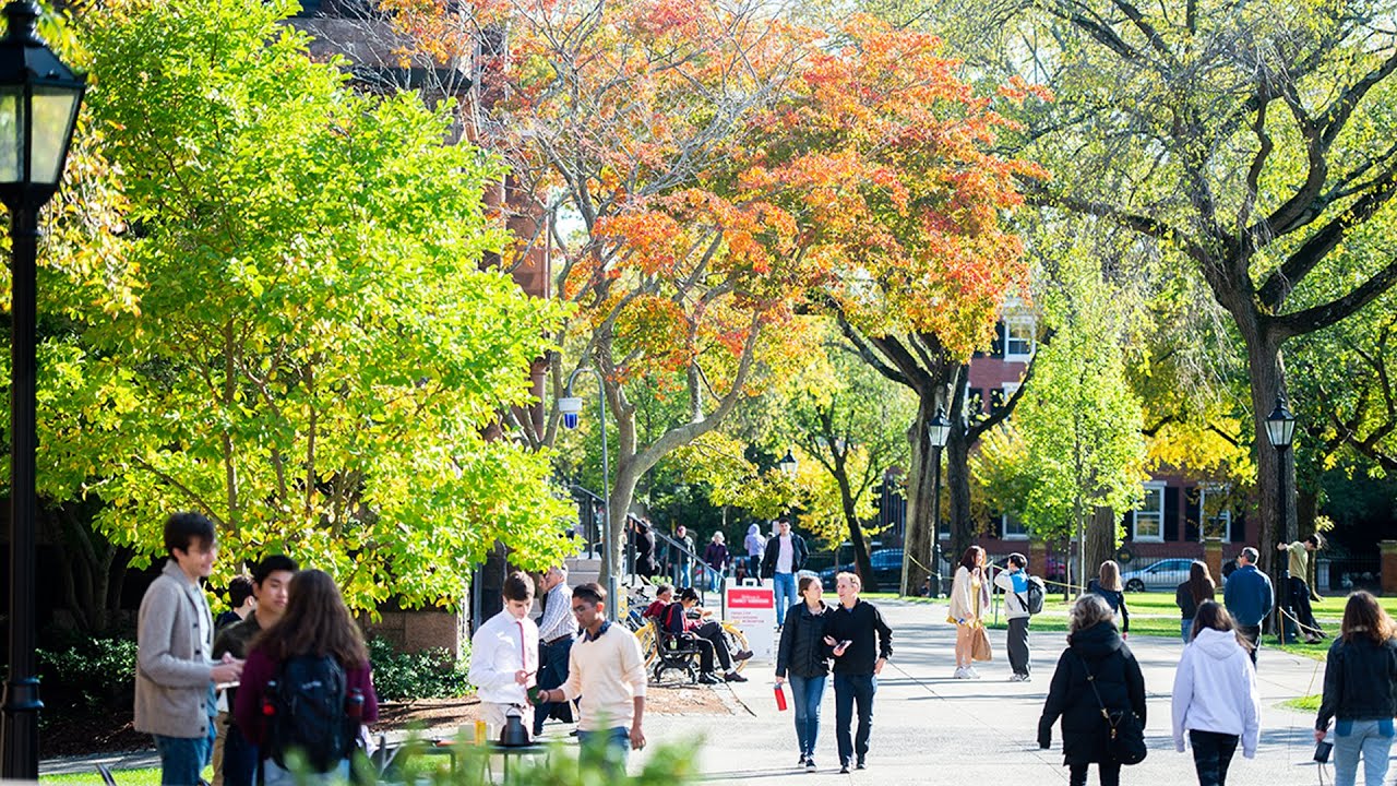 Open Curriculum // Defining the Brown Experience for 50 Years