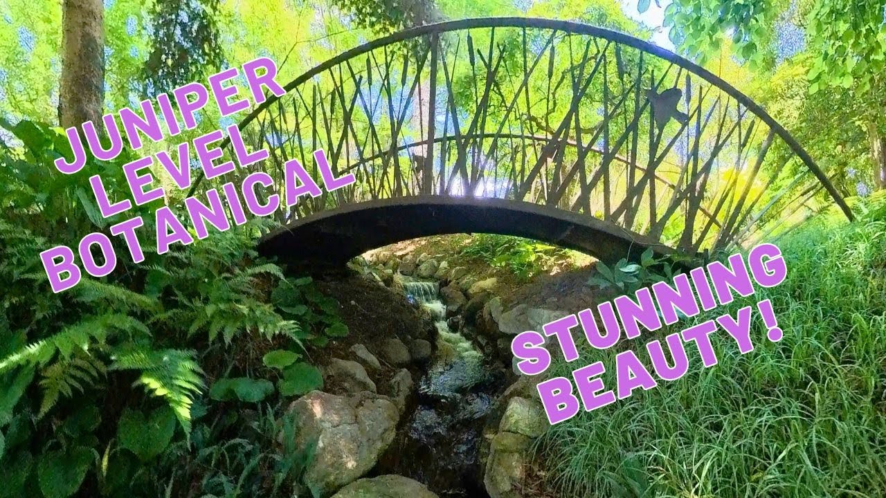 Juniper Level Botanic Garden: A Journey through Nature