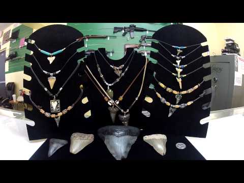 Sharks teeth jewelry for sale