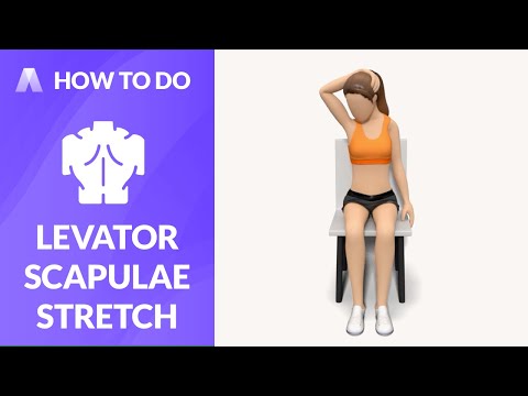 How to Do:LEVATOR SCAPULAE STRETCH