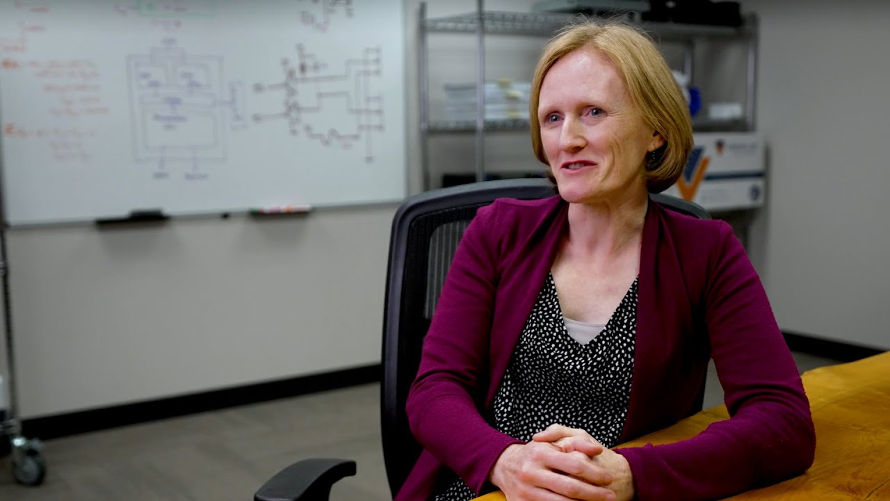 Software Engineering | Simplexity Product Development