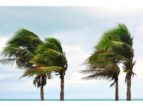 Geography Made Easy !!--------Types of planetary winds