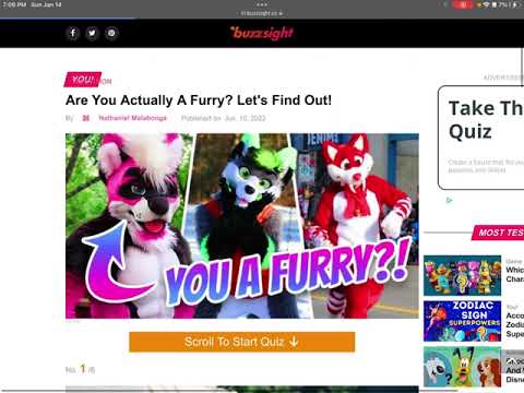 I TAKE A FURRY TEST!! (GONE WRONG)