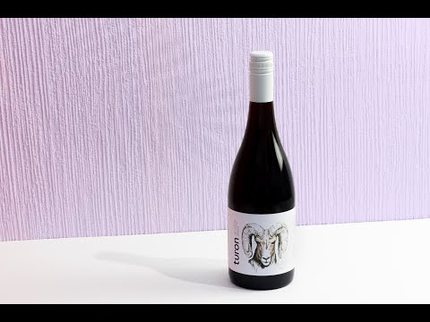 Good Pair Days - Turon 'Artist Series' Pinot Noir 2020