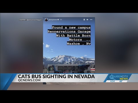 CATS bus makes far-away celebrity appearance in Jeremy Renner’s Instagram