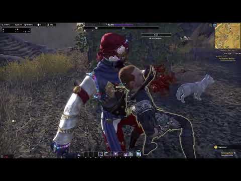 ESO's domesticated dogs are NOT man's best friend. — Elder Scrolls Online