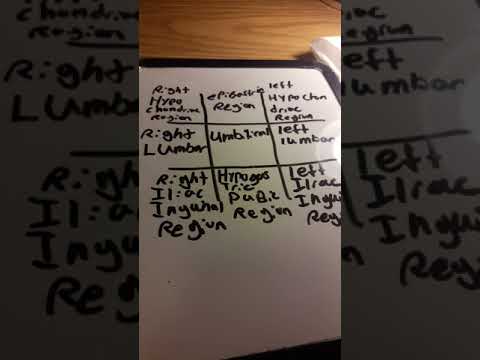 9 body regions "abdominal area"