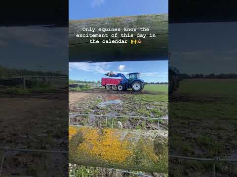 Getting the muck heap shifted #farm #farmlife #lifewithhorses #muckheap #countrylife #tractor