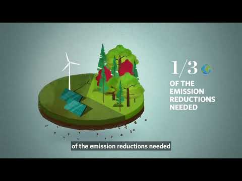 Why Canada Needs to Unlock Nature's Toolbox