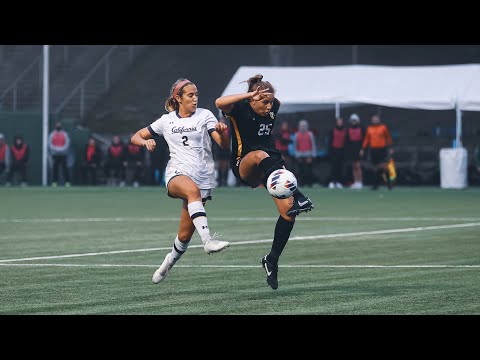 WSOC | USF vs. Cal Highlights