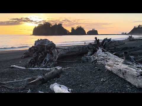 Quileute Oceanside Resort: BEST Place To Stay in Olympic National Park