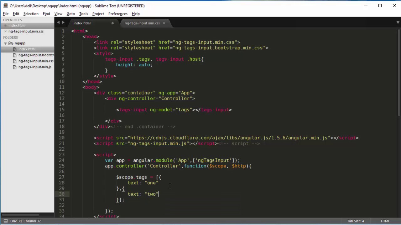 angularjs - search tags - ng-tags-input - getting started
