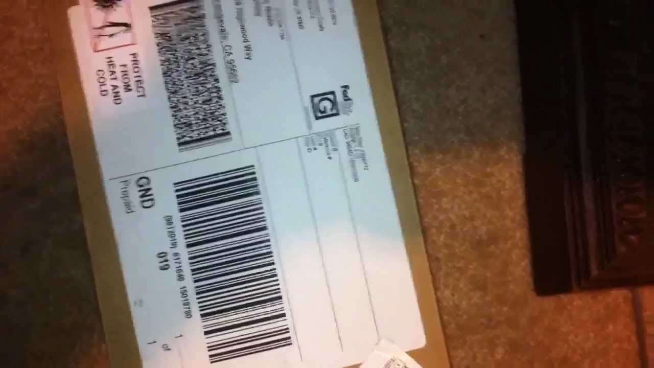 Evergreen Growers Supply Review / Getting rid of mites