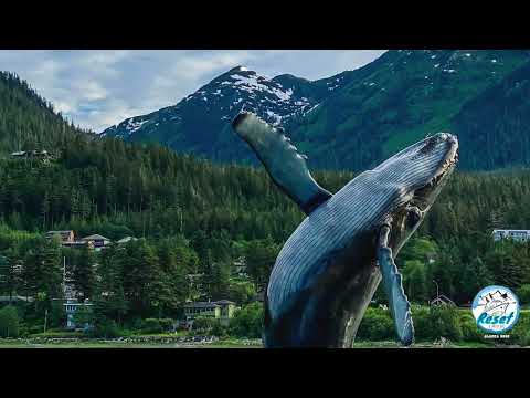 2023 Cruise With a Mission Alaska Promo