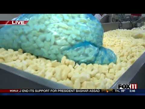 The art of cheese curd making
