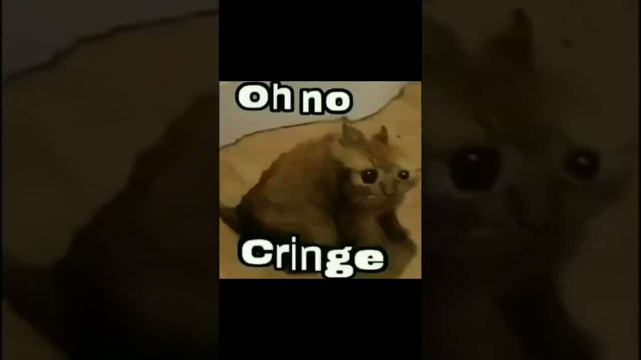 oh no cringe 🙀