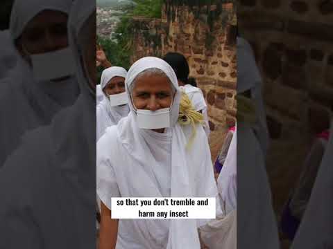 Religious fanaticism compared!