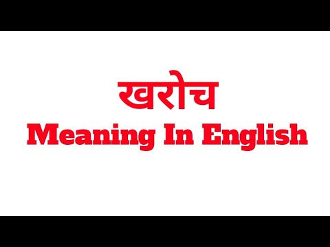 Bruise meaning in Hindi