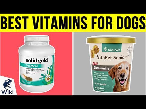 10 Best Vitamins for Dogs 2019
