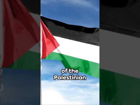 Meaning of the Palestinian flag #palestine #flag #shorts