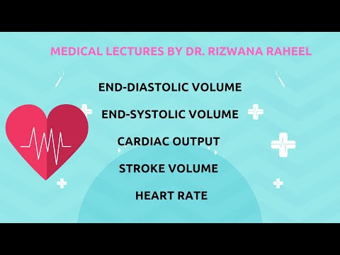 End-Diastolic Volume | End-Systolic Volume | Cardiac Output | Stroke Volume | Heart Rate