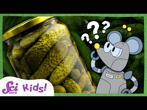 What Are Pickles? | The Science of Food! | SciShow Kids