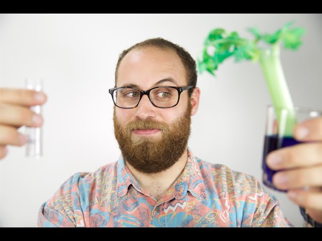 Moisture Wicking Fabric: What It is? | Types, Benefits and Qualities