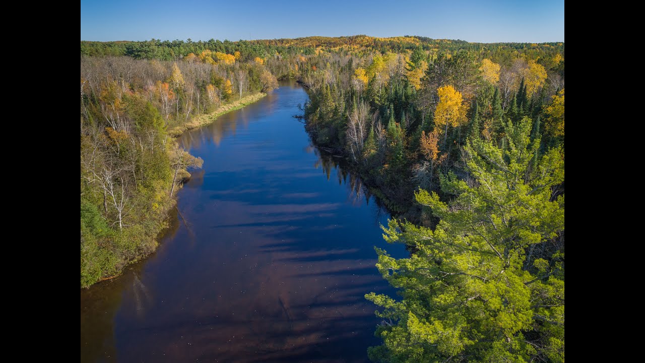 Virtual Forestry Stewardship Workshop 101 with Aitkin County Soil and Water Conservation District