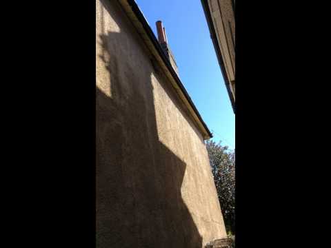 Crazy squirrel jump