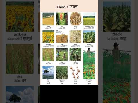 Crops Name |  #shorts