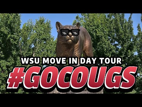 Exploring Washington State University: A New Chapter Begins