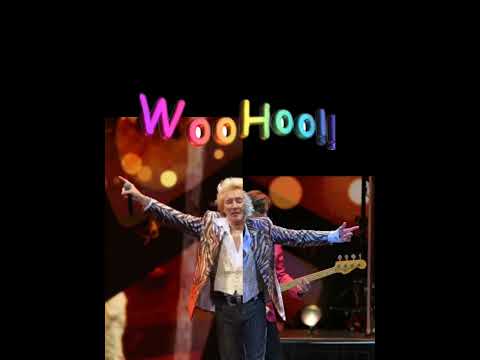 ROD STEWART KERMITS ★ NEW SHOES ★