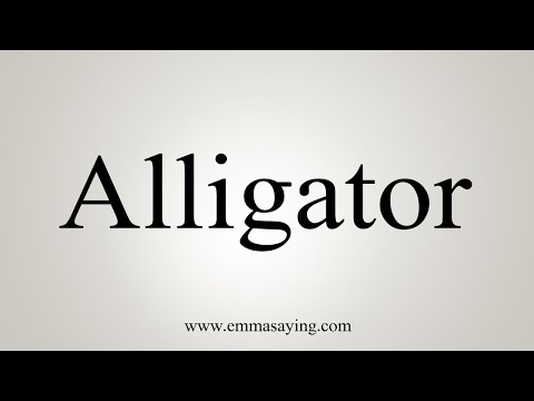 How To Say Alligator