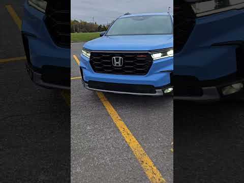 The Colors of Vehicles: Revealers of YOUR Personality