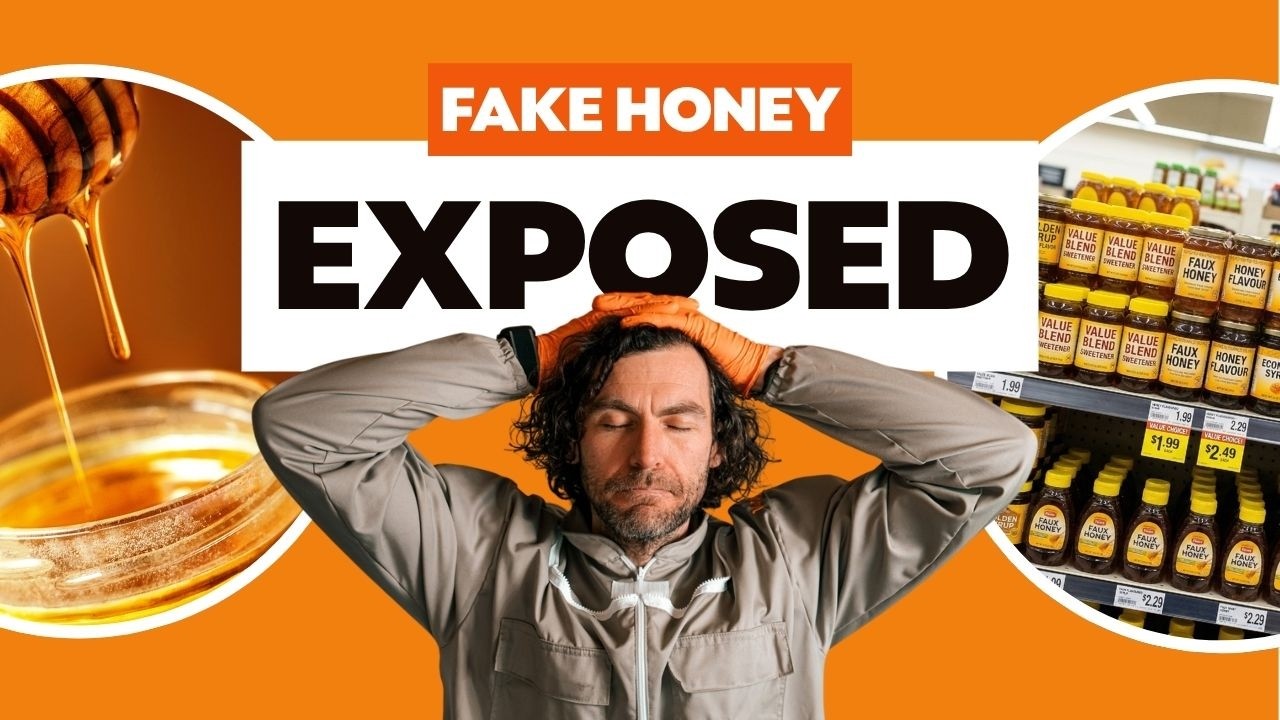 FAKE Honey Scams EXPOSED - Talking HONEY Fraud With Bernard Heuvel
