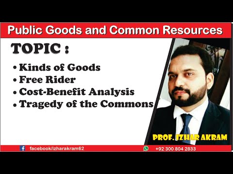 Public Goods and Common Resources (Urdu/Hindi)