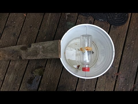 How To Make A Bucket Mouse Trap In Two Minutes - Collaboration