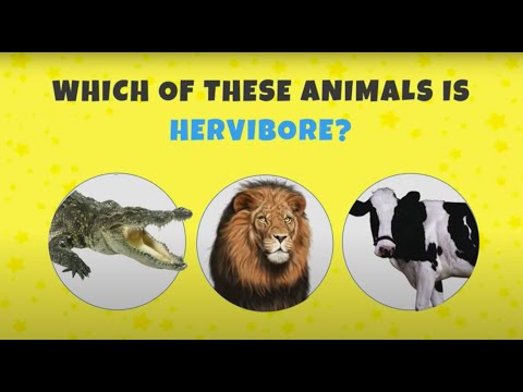 Trivia Questions Read Out Loud - General Knowledge Quiz for kids